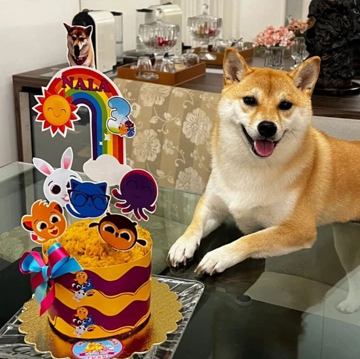 Pet chef fatura até R$ 200 mil por ano com buffet para bichinhos de ...