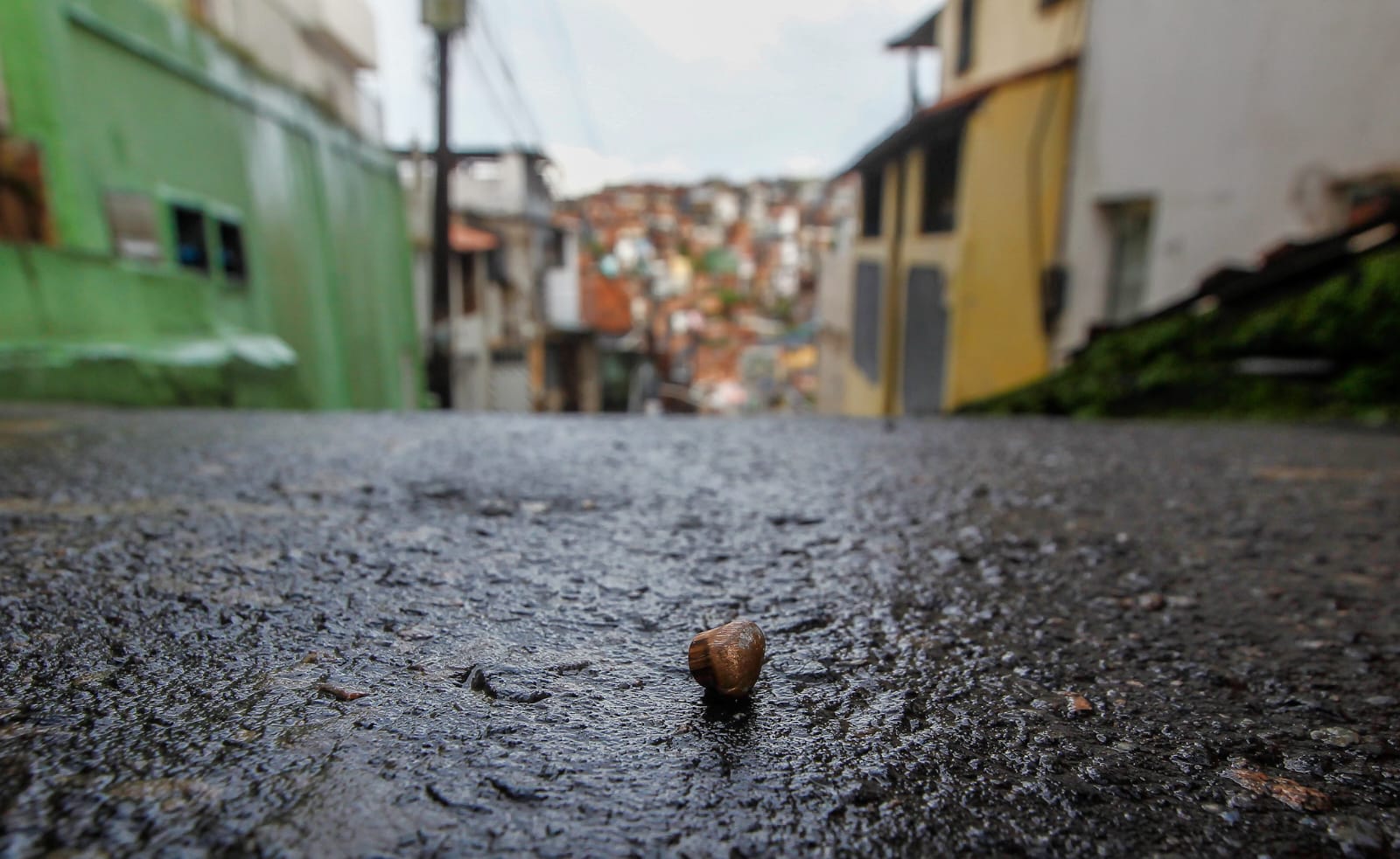 Jornal Correio Mulher é Achada Morta Após Tiroteios Em Tancredo Neves