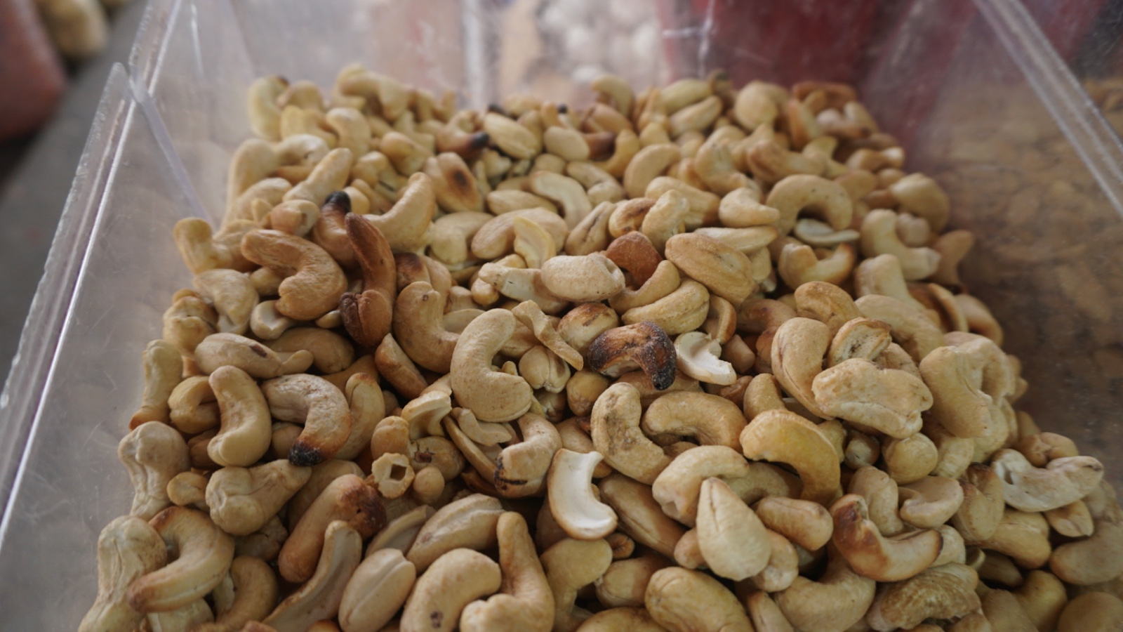 Bahia lidera produção de castanhas de caju por extração vegetal no país ...