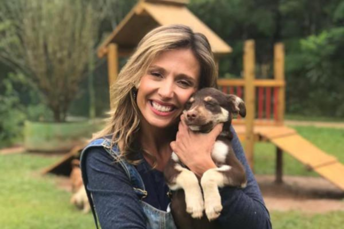 Luisa Mell perde processo contra ex-marido e é esculachada por juiz | Jornal Correio