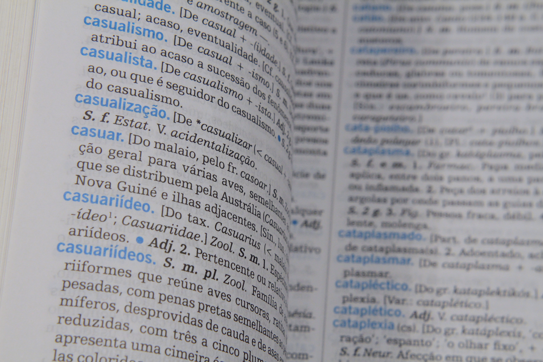 A maior palavra da língua portuguesa e sua curiosa origem | Jornal Correio