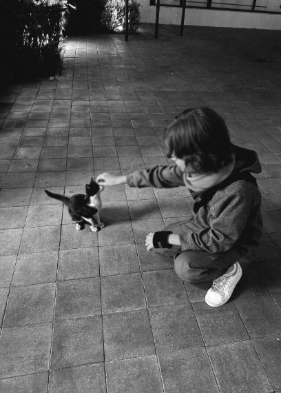 Sandy mostra filho de 11 anos pela primeira vez e surpreende; veja foto ...